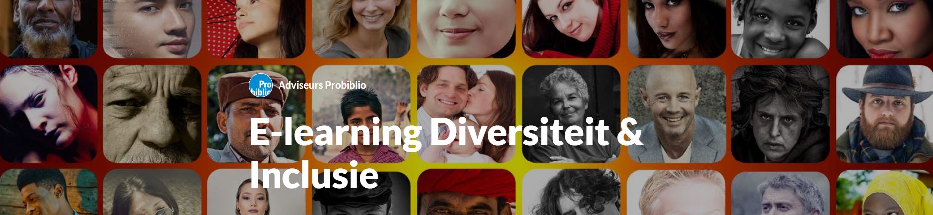 Probiblio lanceert nieuwe module personeel van e-learning Diversiteit & Inclusie - Bibliotheekblad